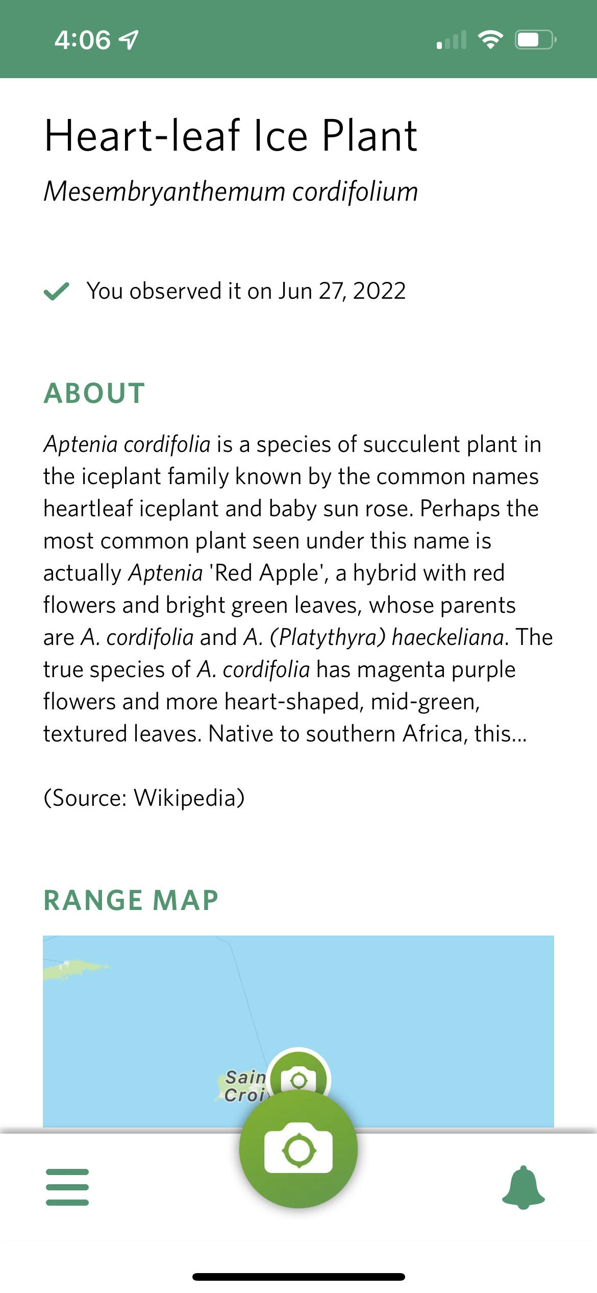 Aptenia cordifolia (Heart-leaf Ice Plant) | BEARNOTCH